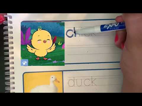 Animal Sight Words