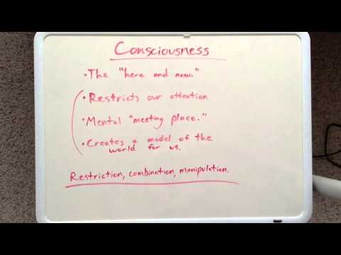 Consciousness [Part 1/3] - AP Psychology Review