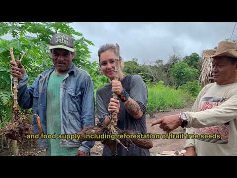 Amazon Protection - support 270 indigenous people - GlobalGiving