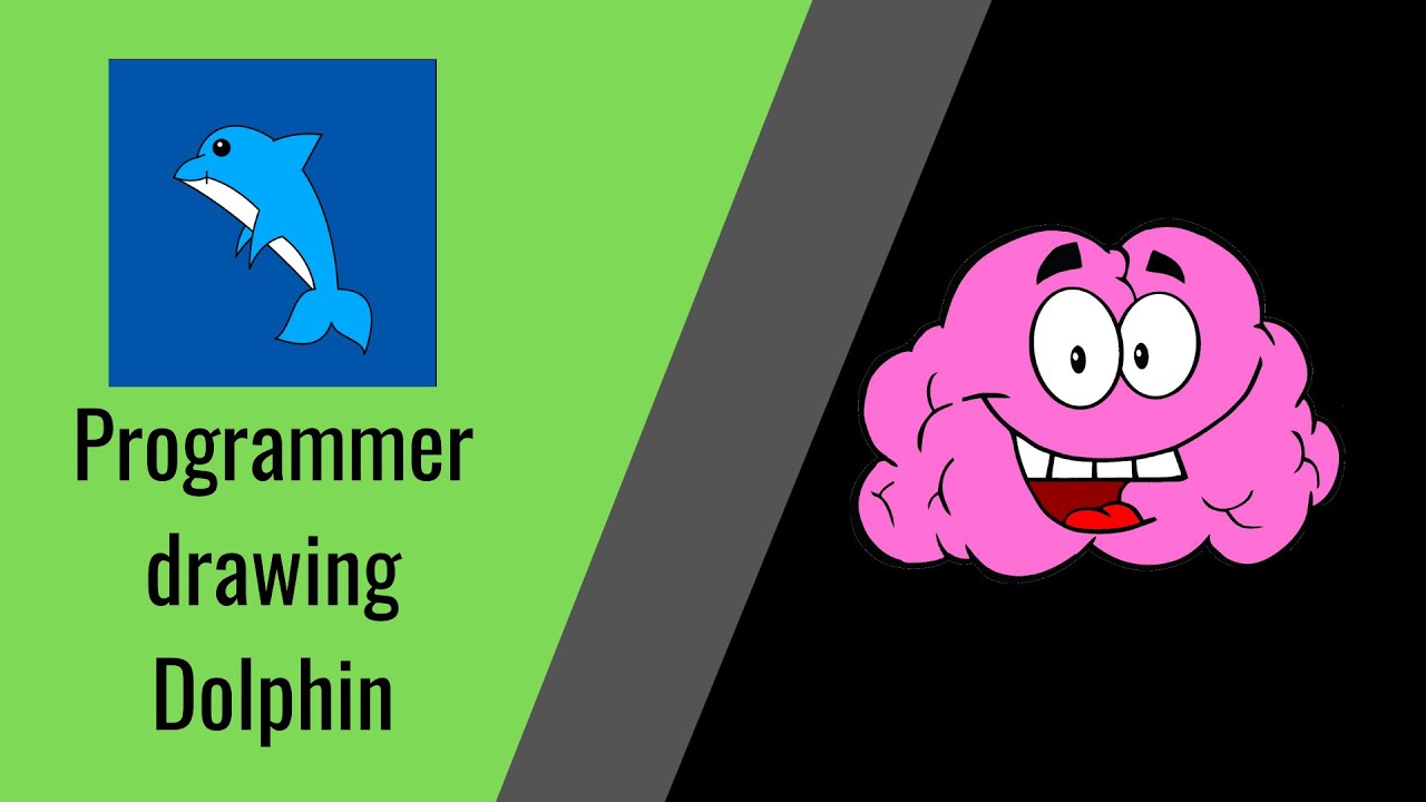 A Programmer drawing Dolphin