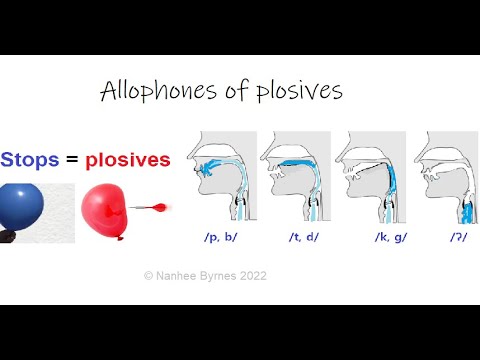 Plosives (stops) and their allophones