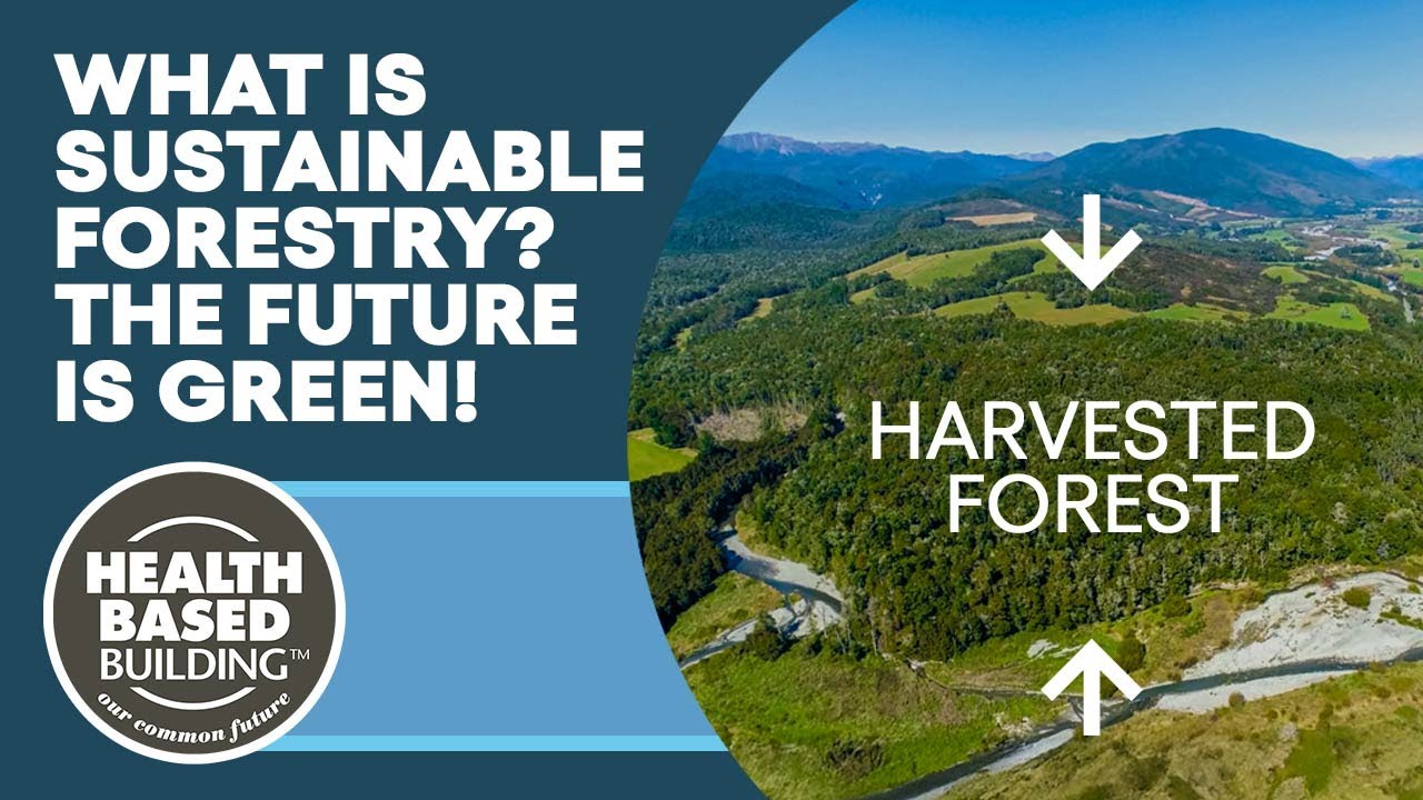 Sustainable Forestry: A Better Way to Harvest and Build with Health Based Building