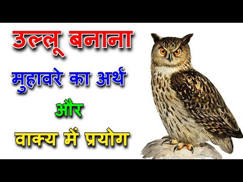उल्लू बनाना मुहावरे का अर्थ और वाक्य प्रयोग // ullu banana nuhavare ka arth