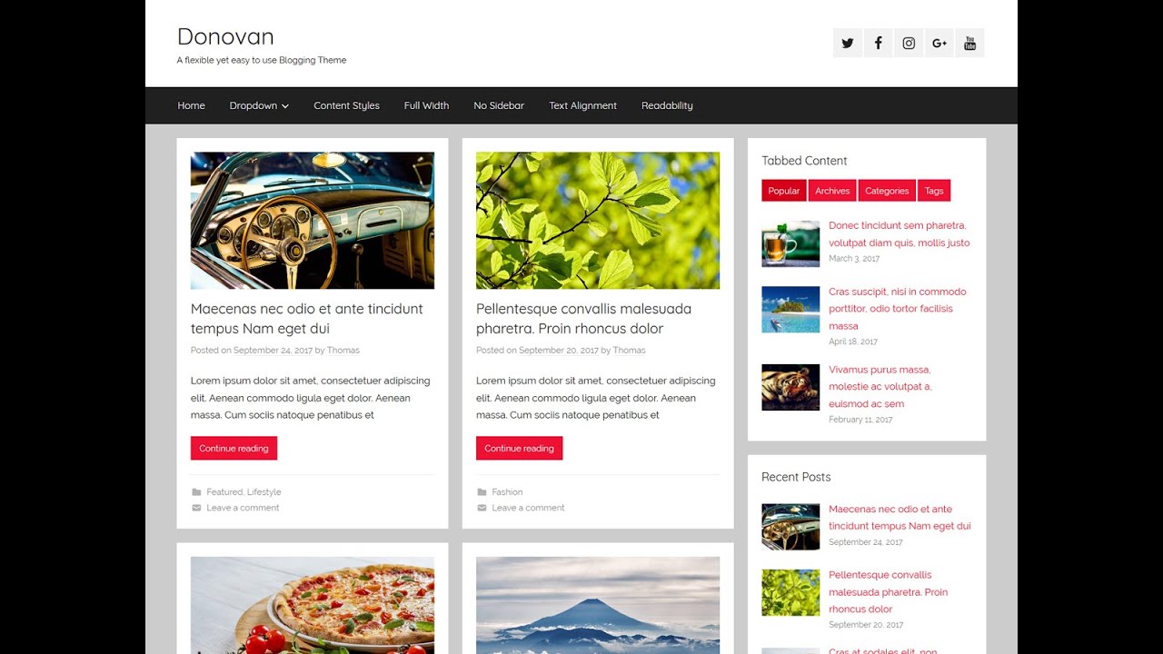 Theme Donovan review and test