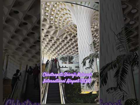 You won't be bored at Mumbai International Airport ✈️ 🇮🇳 #music #travel #csmia #mumbaiairport #life