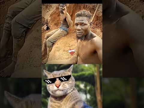 do not use this sound 5 #cat #bombastic #meme