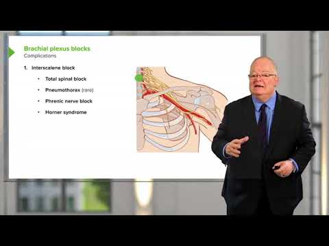 Brachial Plexus Blocks – Other Limb Blocks and Intravenous Regional Anesthesia