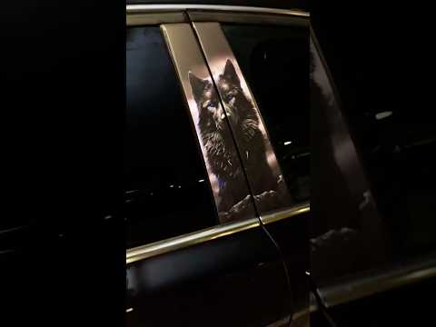 Customizable high quay car door sticker |Blazexel #car #carstickers #carlover #carsticker #cars