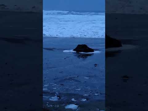 Oregon Coast Metal Detector Beach ⛱️ compilation