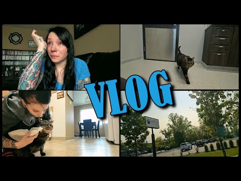 VLOG: May 31st-June 5th | Things Are Not Okay, Baxter's Sick, & ER Visit.