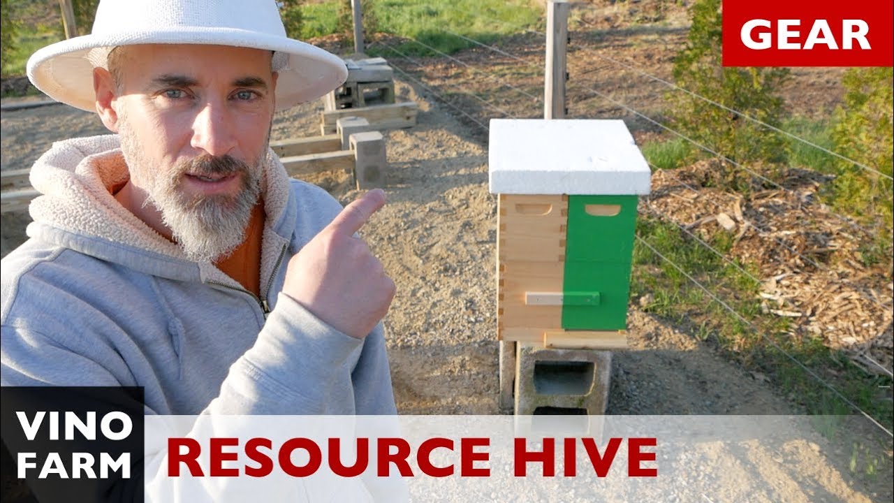 Resource Hive / Double Nuc / Duplex Hive - Something New!