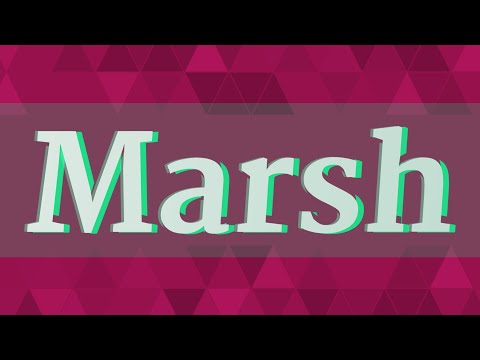 MARSH pronunciation • How to pronounce MARSH