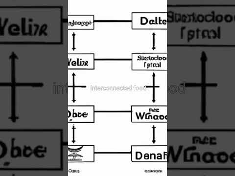 What is the difference between a food web and a food chain?
