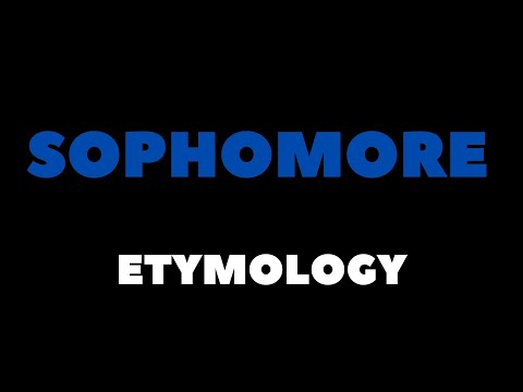 Sophomore: The Wise Fool