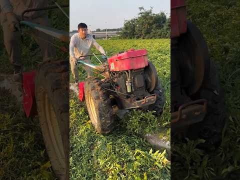 Amazing Farming Machine in Action 🚜💥 | JUST KD Agriculture | Part 164