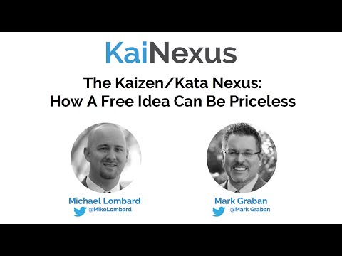 The Kaizen-Kata Nexus: How A Free Idea Can Be Priceless
