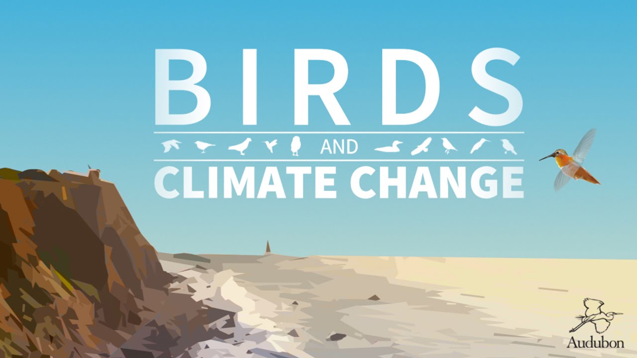Climate Change and Birds