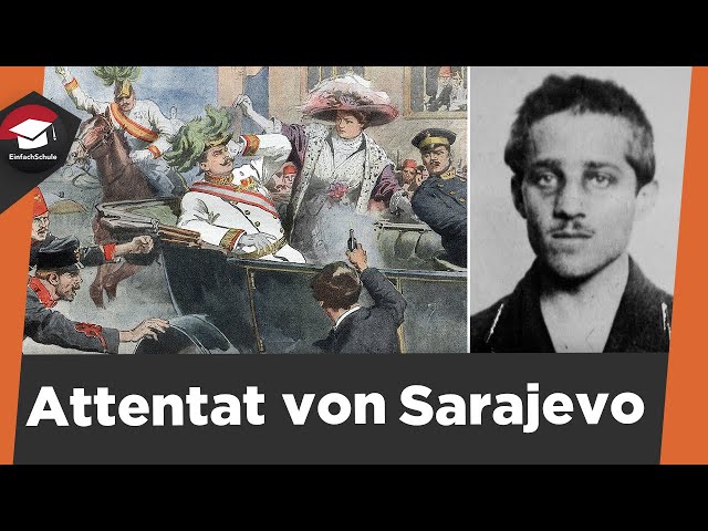 The Assassination of Archduke Franz Ferdinand: Causes, Events, and ...