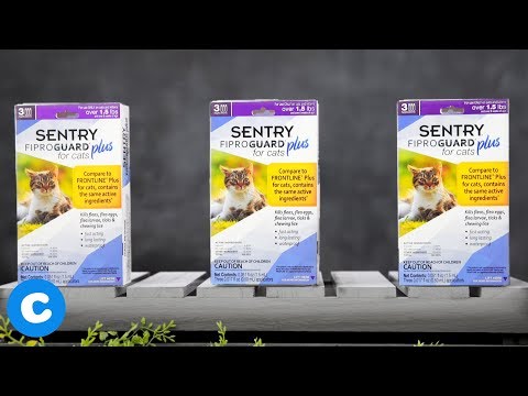 Sentry Flea and Tick Cat