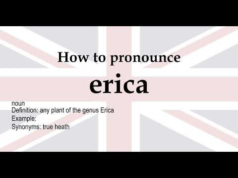 How to pronounce 'erica' + meaning