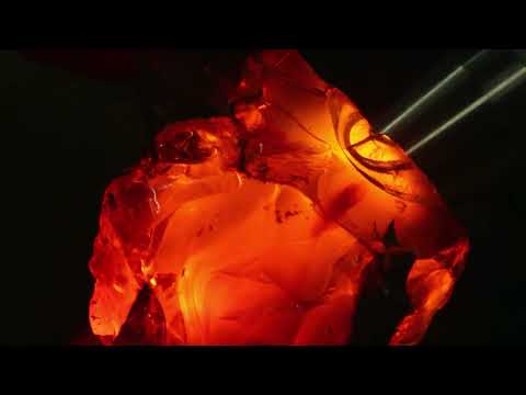 Amber Gemstone | Origin | History | Formation | Inclusions | Appearance