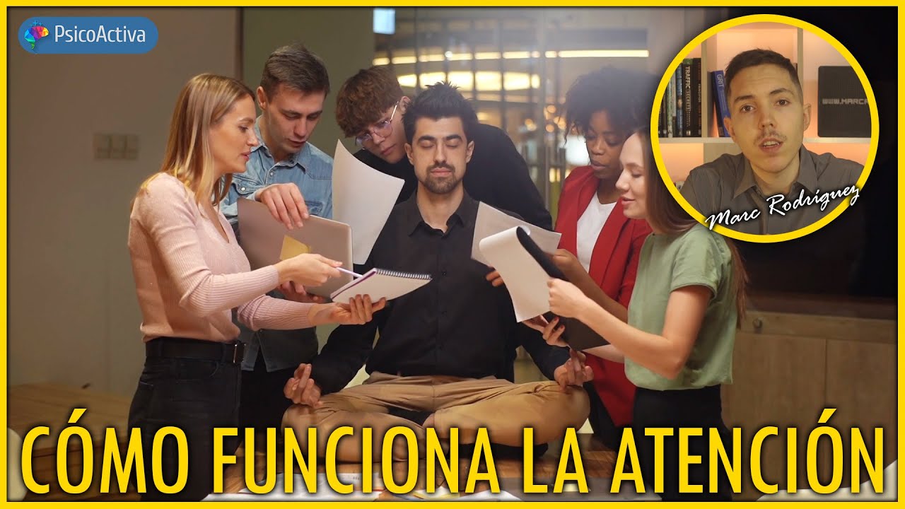 Las estructuras cerebrales que participan en el proceso de atención