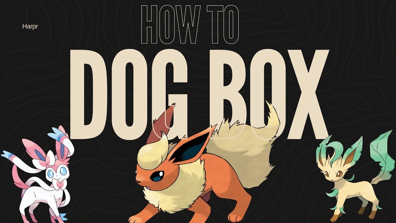 How to Dog Box | A complete deck breakdown and guide.