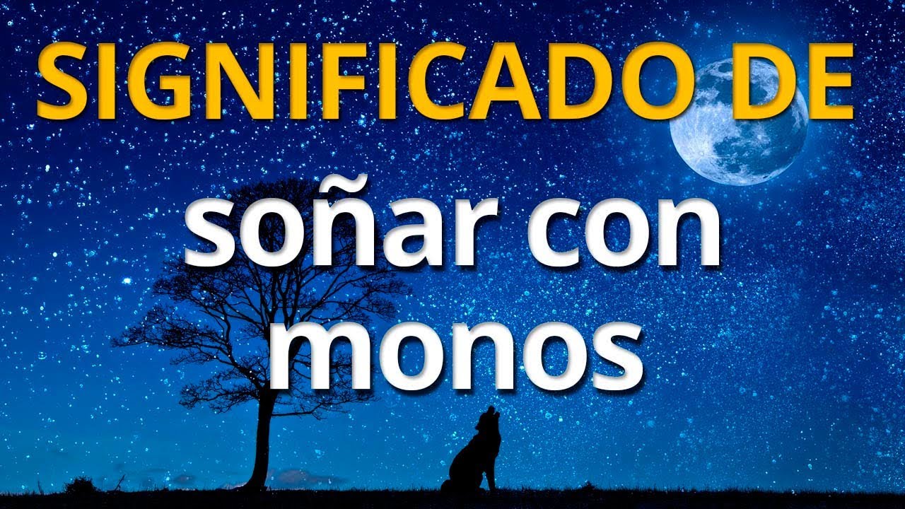 Qué significa soñar con monos 💤 Interpretación de los Sueños