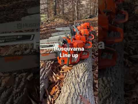 Husquvarna 395xp,394xp, 390xp, 385xp and 372xp.