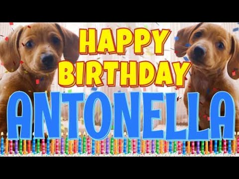 Happy Birthday Antonella! ( Funny Talking Dogs ) What Is Free On My Birthday