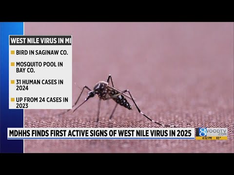 MDHHS finds first active signs of West Nile virus in 2025