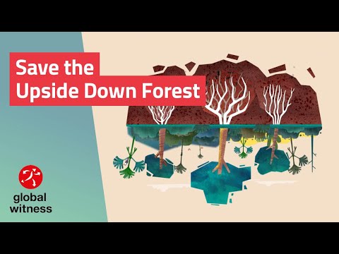 THE LIZ AND TERRY BRAMALL FOUNDATION | Charity Factsheet | Giving is Great