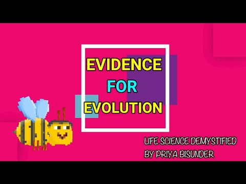 Life Science Grade 12 – Evidence for Evolution : By Priya Bisunder ...
