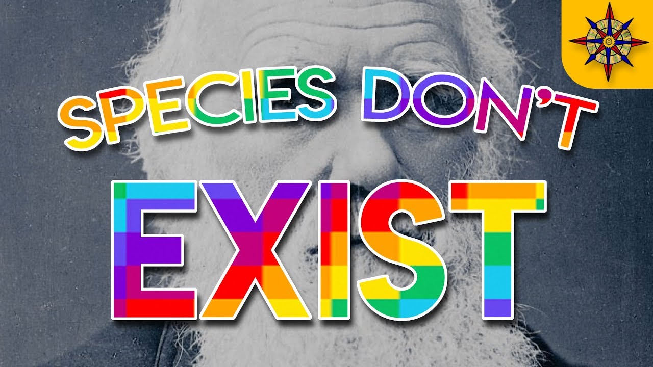 Why Species Don't Exist