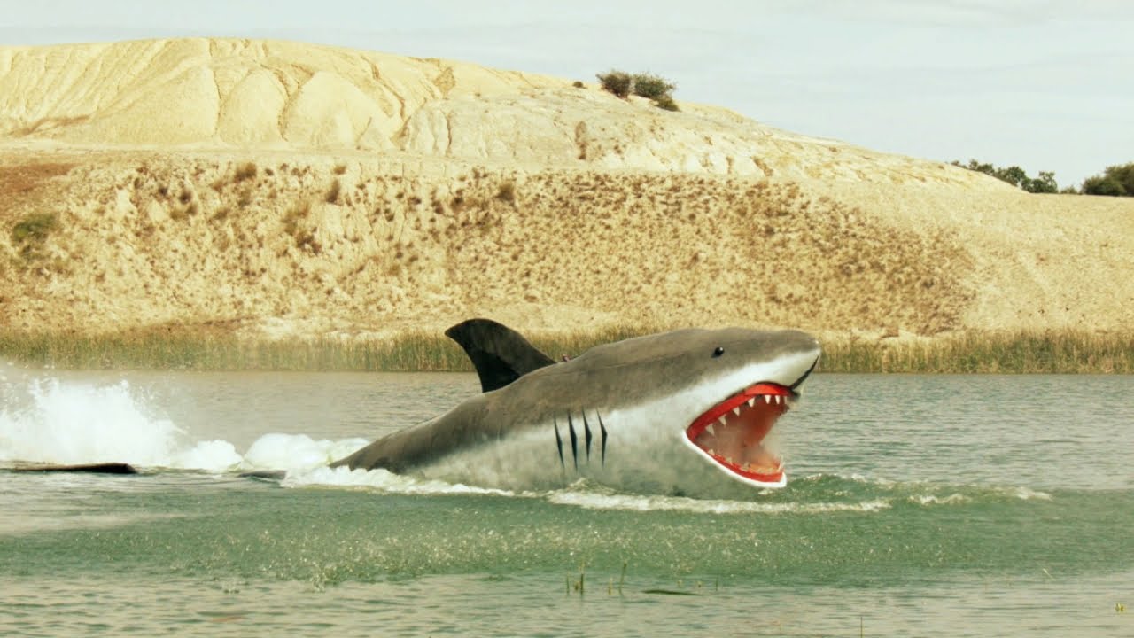 MythBusters vs. Jaws Aftershow