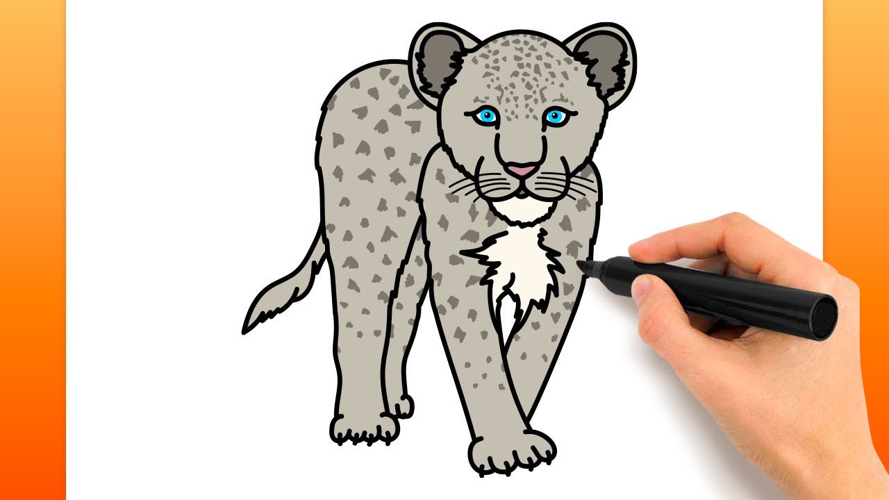 Comment Dessiner Un Léopard Des Neiges (Tutoriel De Dessin Facile)