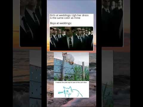 Boys at weddings #shorts #funny #memes