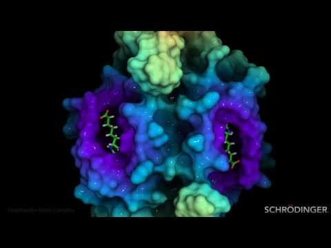 Scientific Animations and Visual Effects by Schrödinger