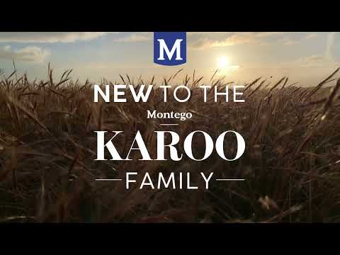 Karoo Targeted Care Adult Dog Food - Insect Protein & Lamb | ePETstore