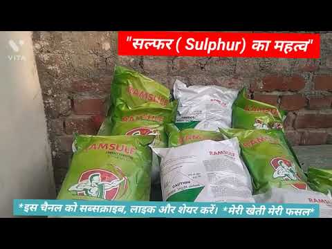 Sulphur Powder - Sulphur Dust Latest Price, Manufacturers & Suppliers