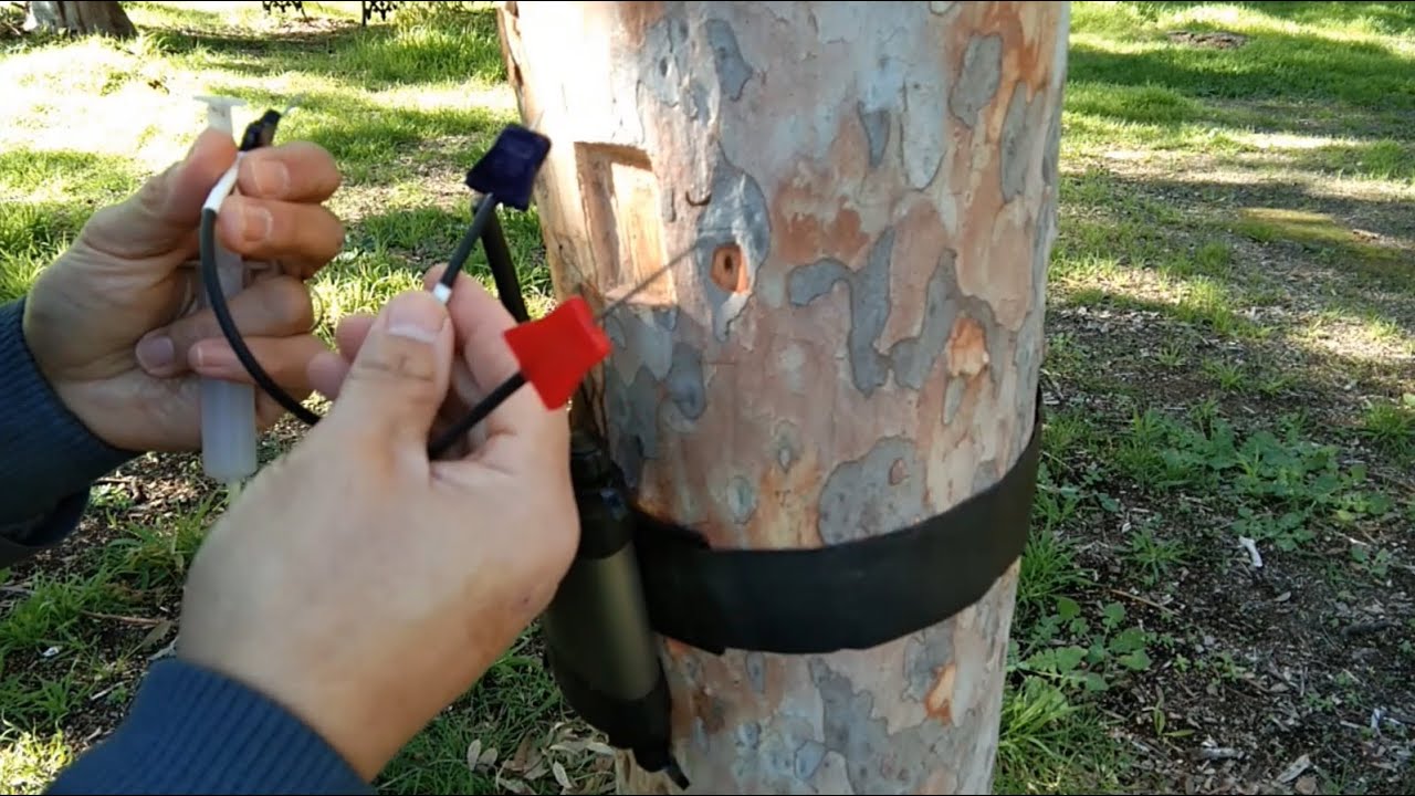 SFM1 Installation Large Stem