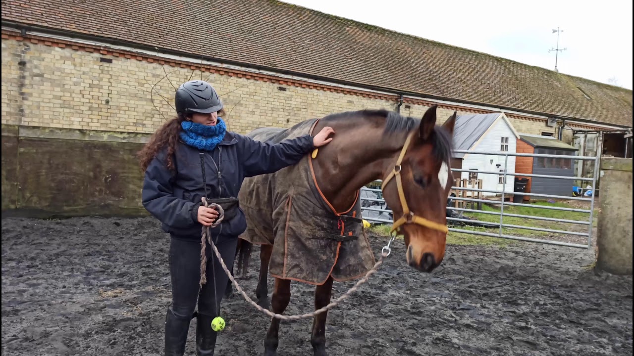 Useful groundwork exercises for all horses!