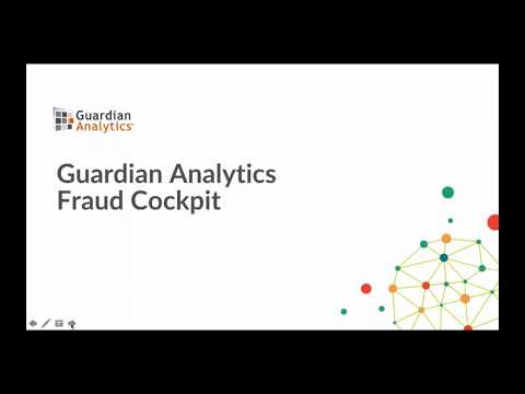 Fraud Analytics: Fraud Cockpit