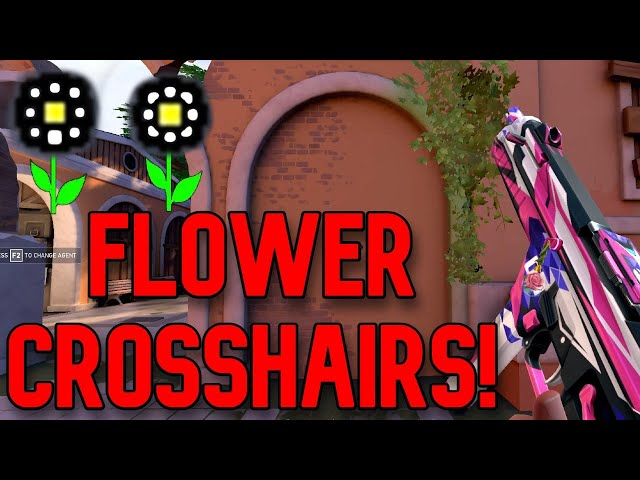 Valorant: All you need to know about the flower crosshair