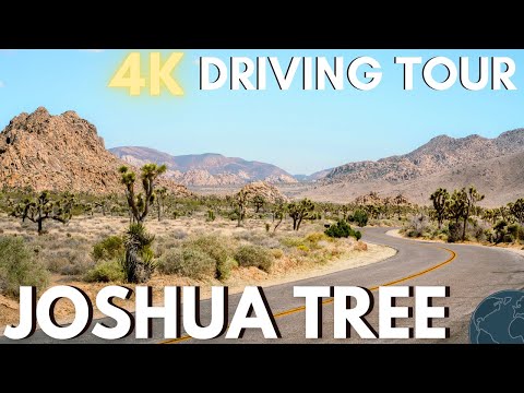 Joshua Tree National Park Driving Tour 4k 🌵 Park Boulevard Scenic Drive 🌵California Desert