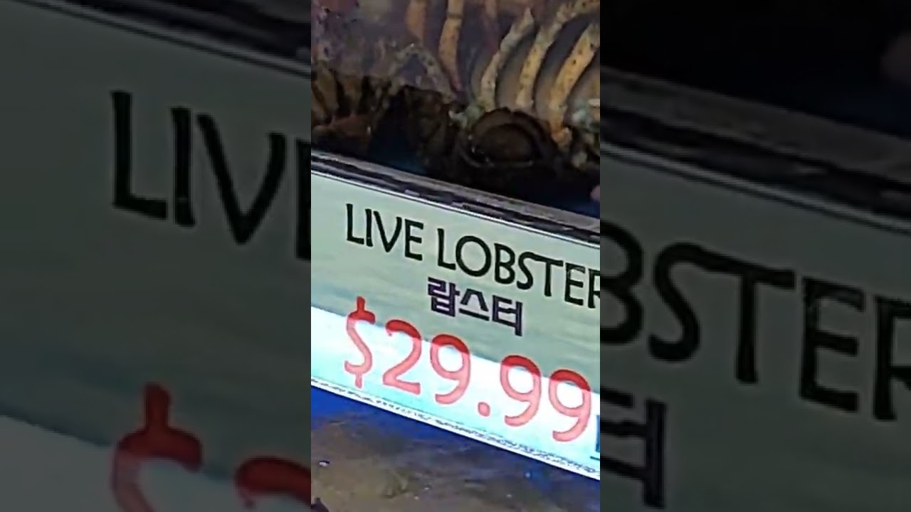 Haha dead lobster go brrr