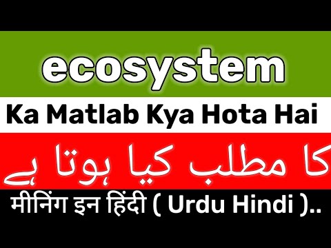 Ecosystem Meaning | Ecosystem Meaning In Urdu | Ecosystem Ka Matlab Kya Hai | Ecosystem Ka Meaning