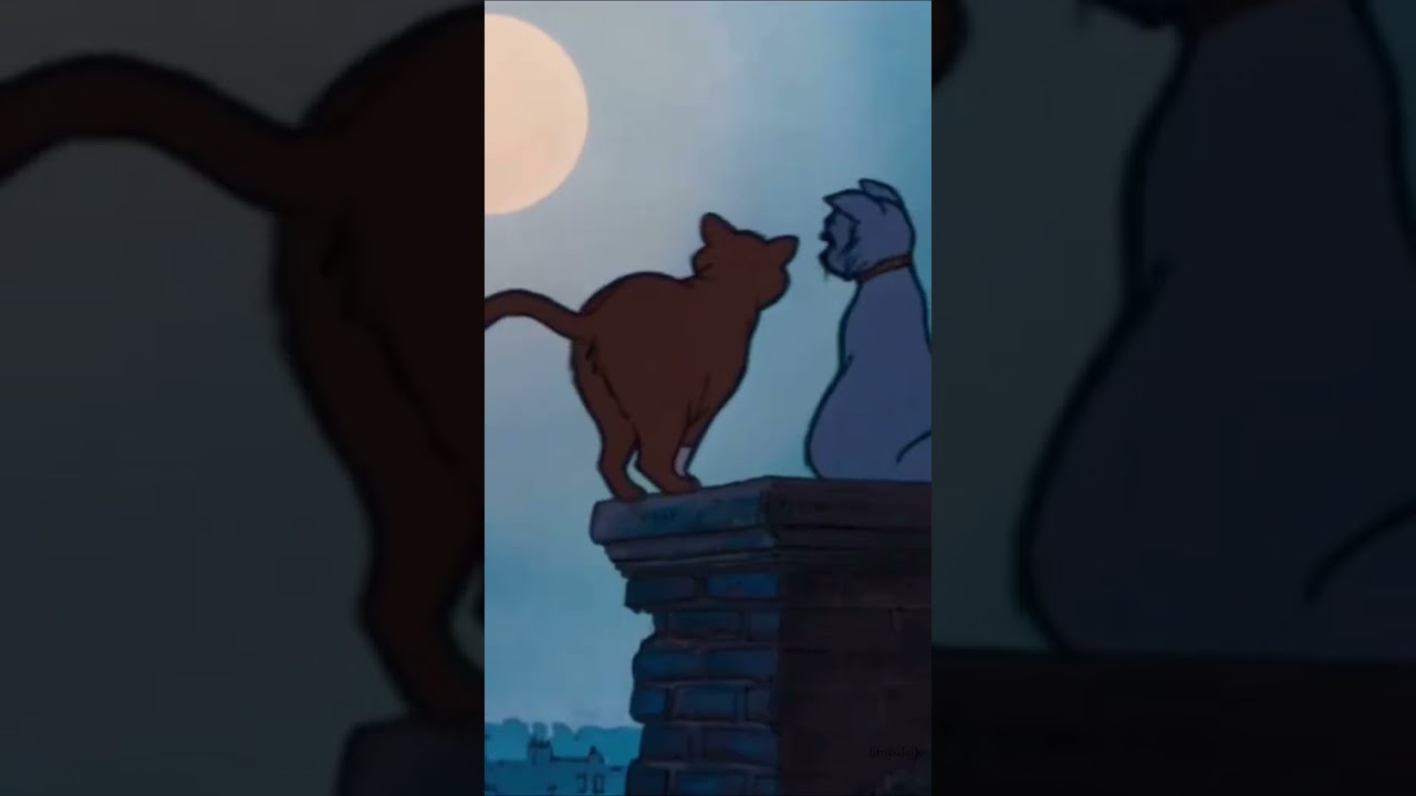 Anyone Remember the Aristocats? #Disney  #aristocats #duchess #thomasomalley