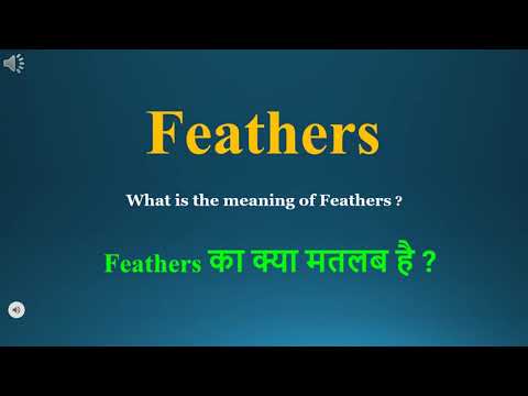 Feathers meaning in Hindi | Feathers ka kya matlab hota hai | daily use English words