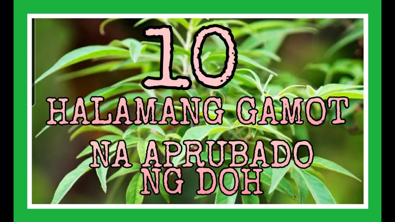 Halimbawa Ng Halamang Dahon - mga paksa